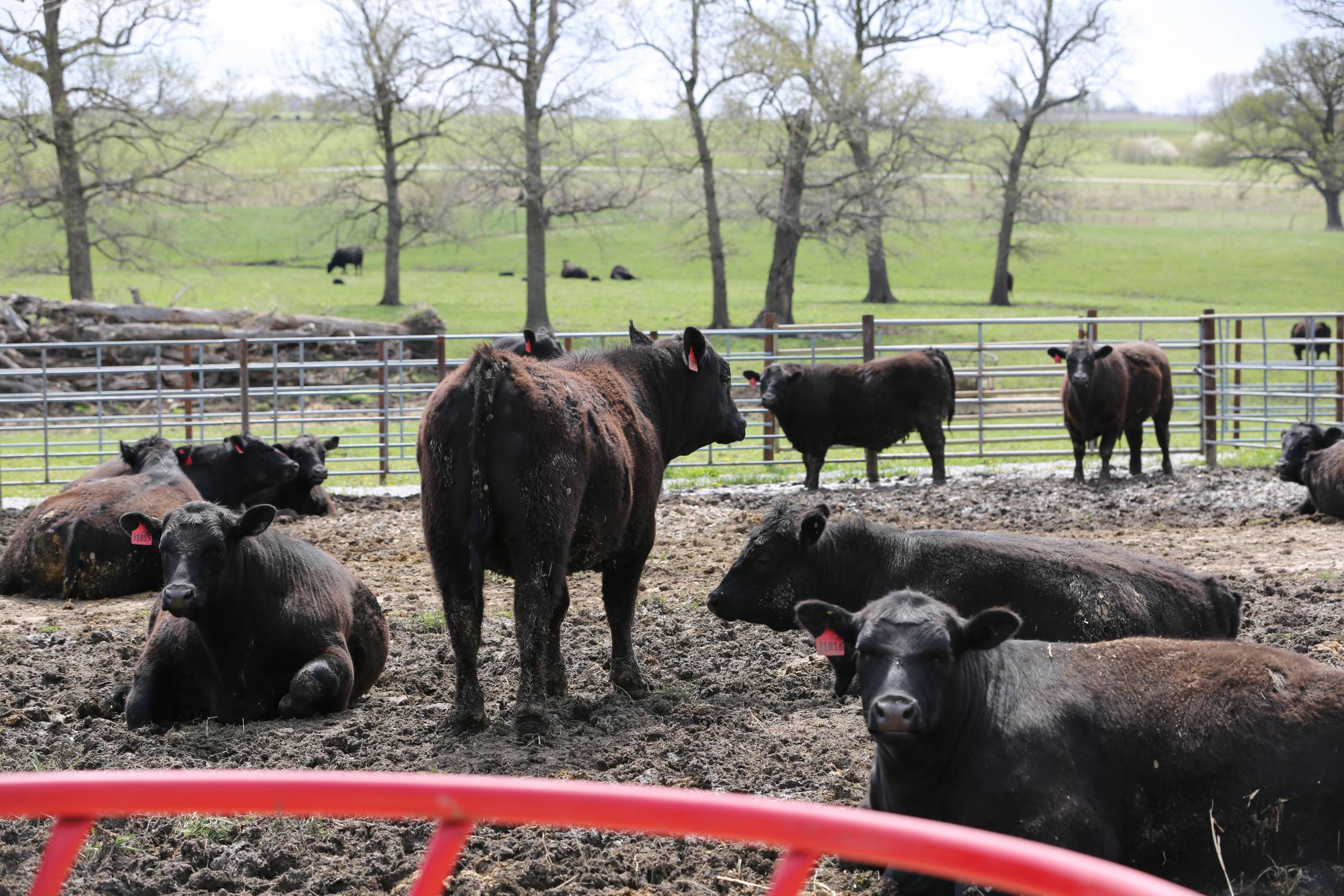 Building Missouri’s Economic Impact - Missouri Agricultural Experiment ...